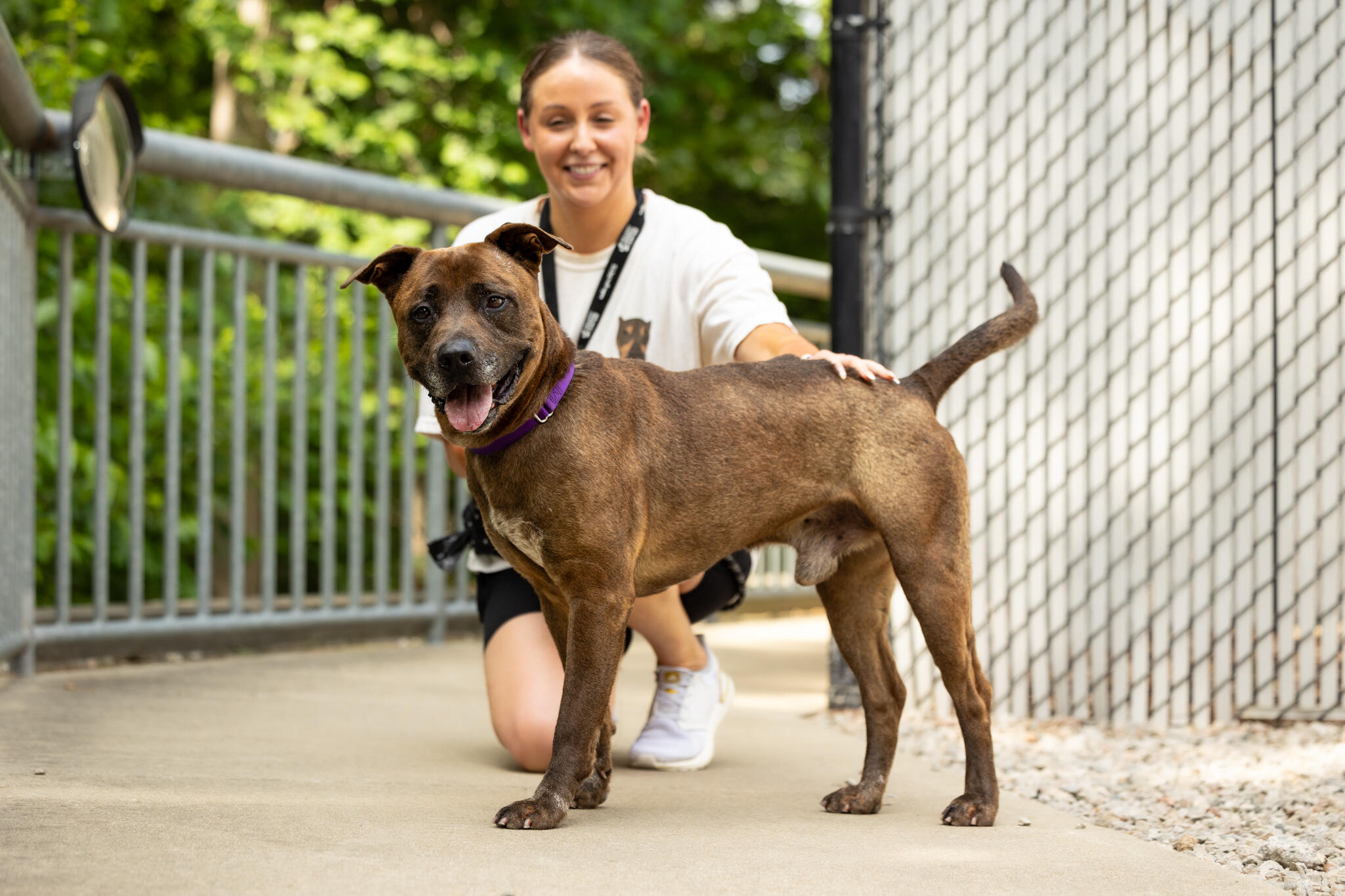 What better way to honor National Rescue Dog Day throughout the whole ...