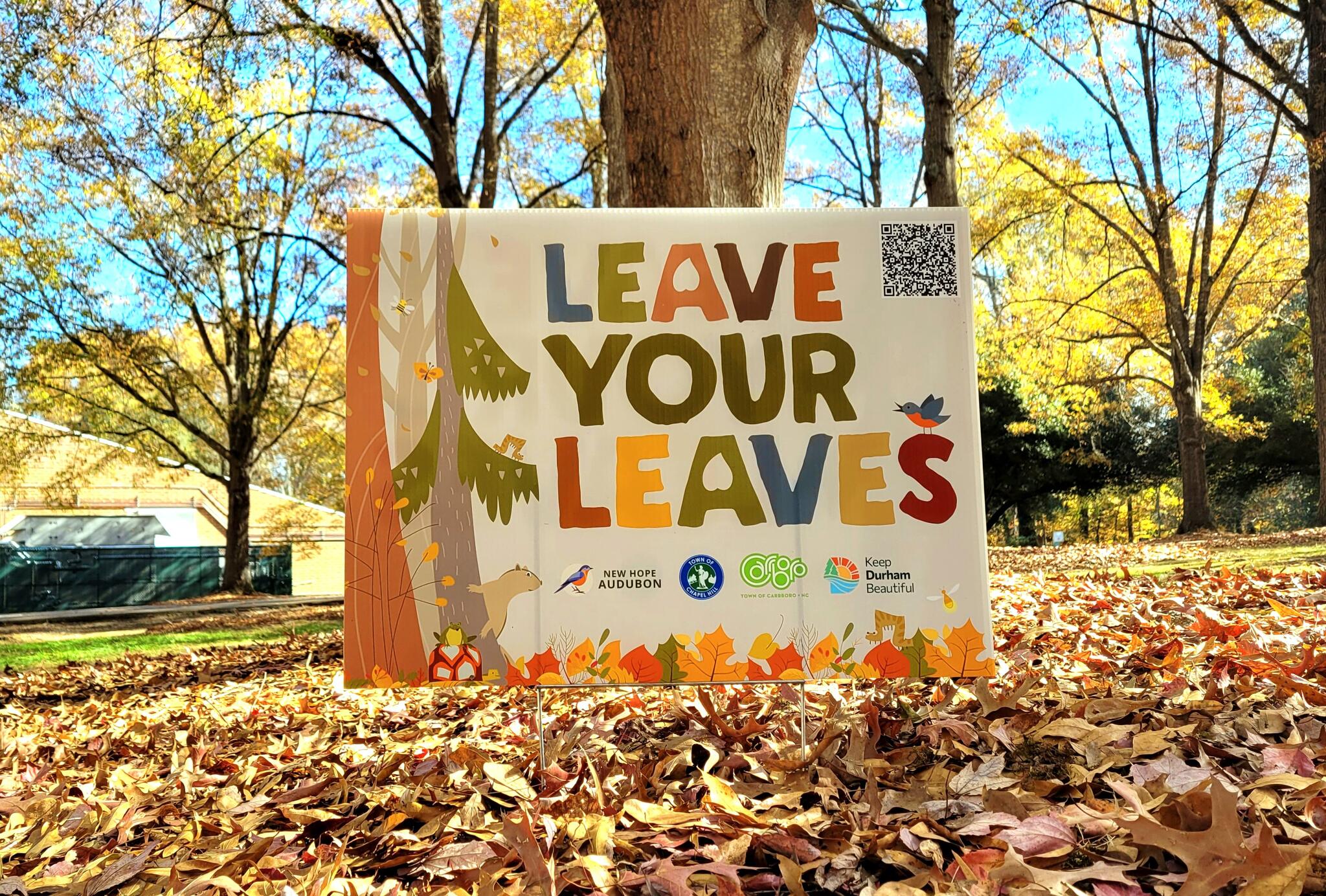 Leaving leaves in your yard can offer multiple benefits such as ...