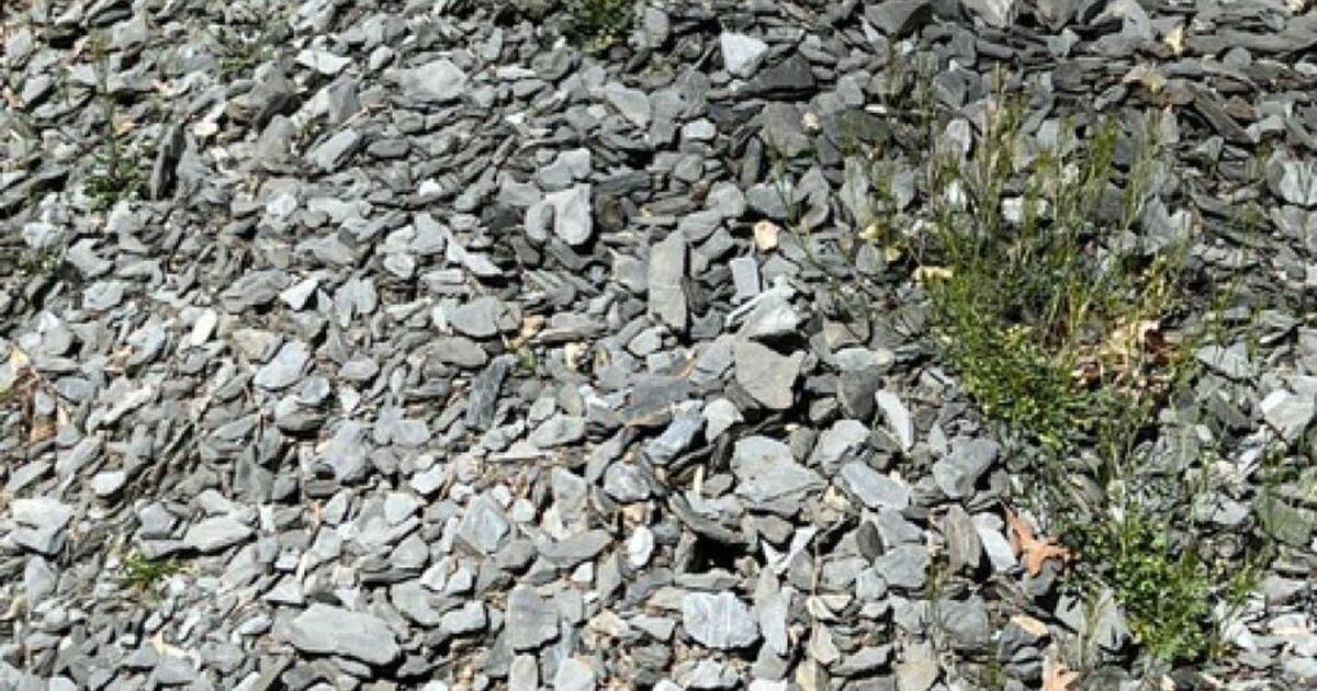 Slate ground cover for Free in Marietta, GA | For Sale & Free — Nextdoor