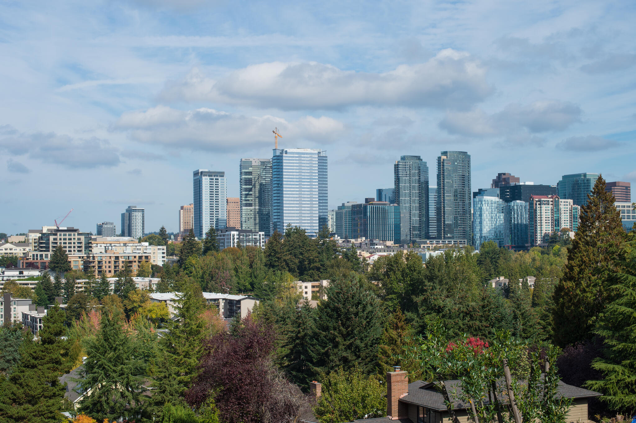 The City of Bellevue needs your help building a sustainable future ...