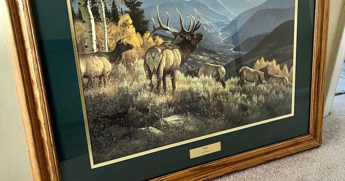 Vista, “Elk” by Hayden Lambson. Framed/ Matted Number 2756 /3500…34”x26 ...