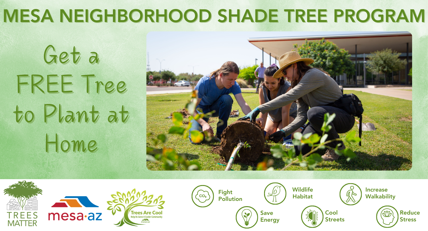 You only have THREE DAYS LEFT to register for our free Shade Tree ...
