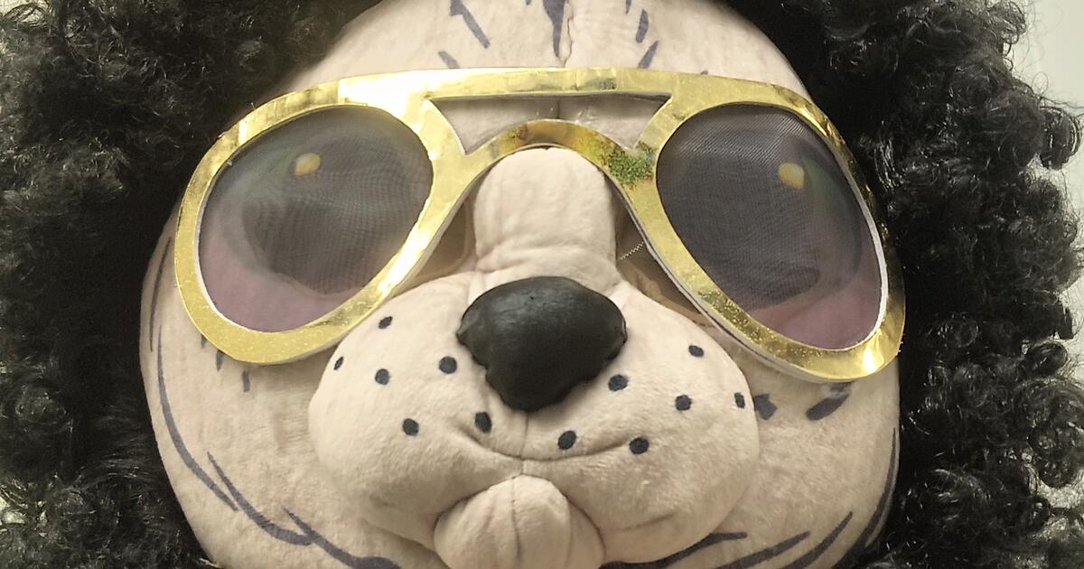 Kool Kitty Mascot Mask for $40 in Conroe, TX | For Sale & Free — Nextdoor