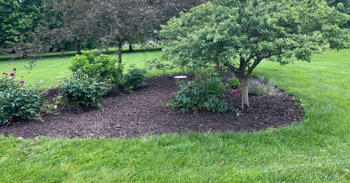 Spring/Summer Clean Up Sale for Free in Dekalb, IL | For Sale & Free ...