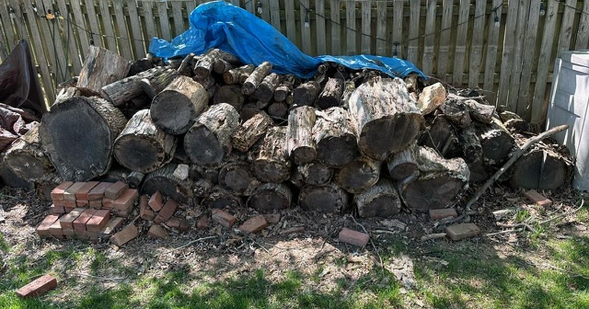 Free UNSPLIT Firewood... for Free in Springfield, VA | For Sale & Free ...
