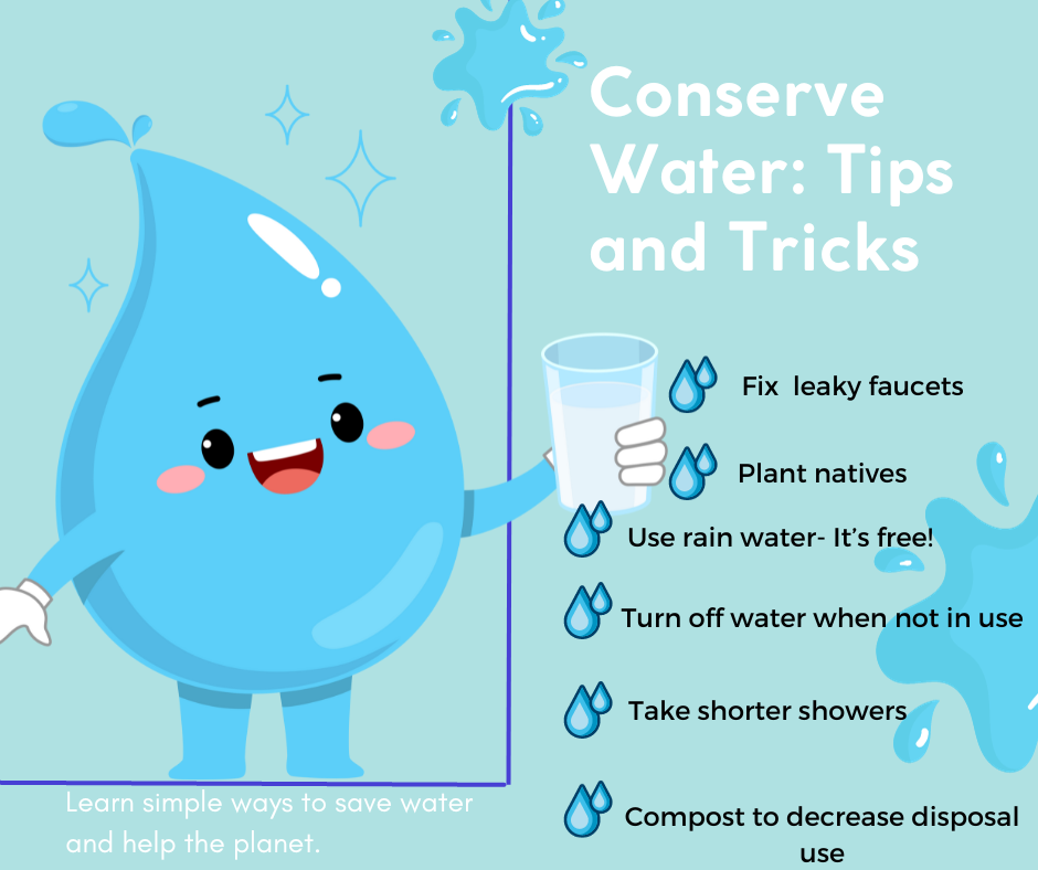 Have You Wondered What Steps As A Resident You Can Take To Conserve