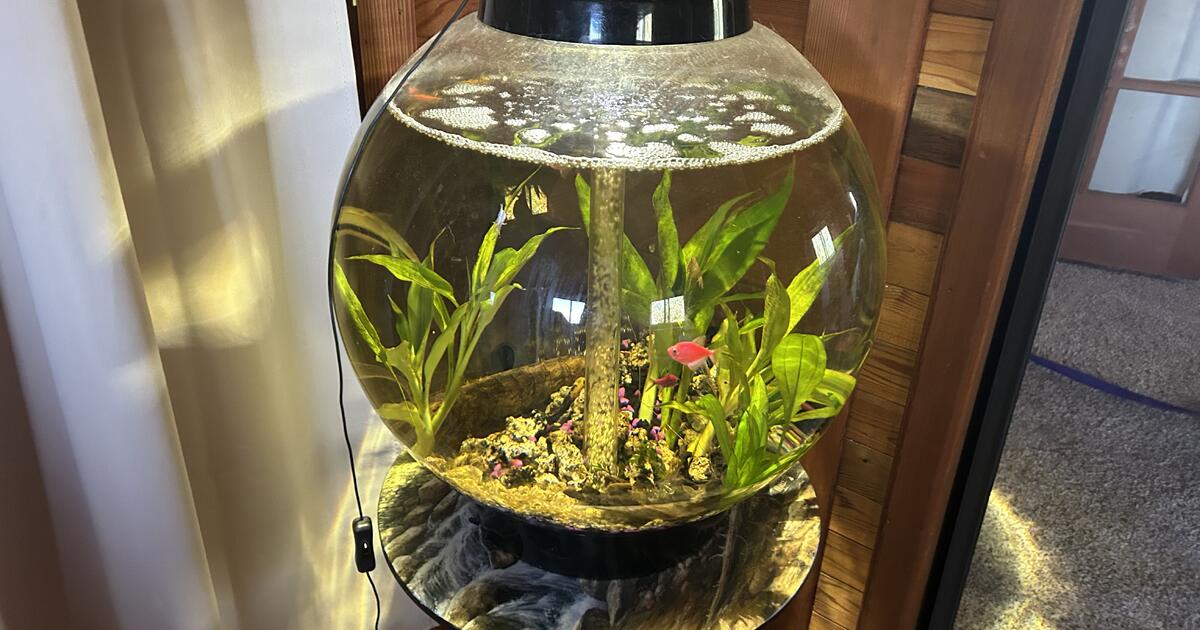 Round Fish Tanks with Stand for Free in Placerville, CA | For Sale ...
