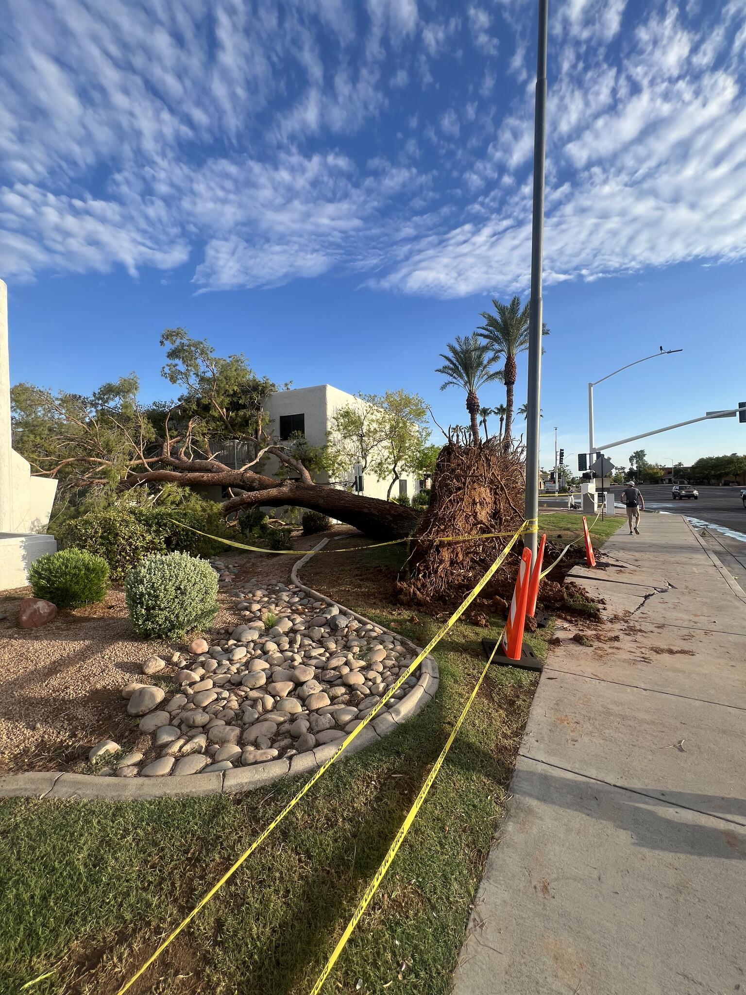 Last night's microburst in McCormick Ranch caused significant damage to ...