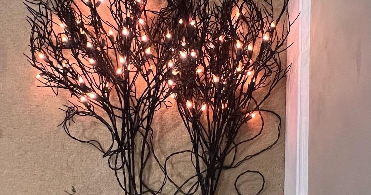 2x Outdoor HALLOWEEN spooky branches with orange lights for $5 in ...