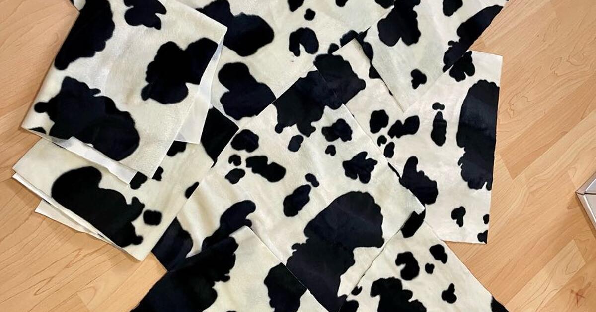 $8 for all 8 pieces of Cow Print Fabric Squares Various Sizes for $8 in ...