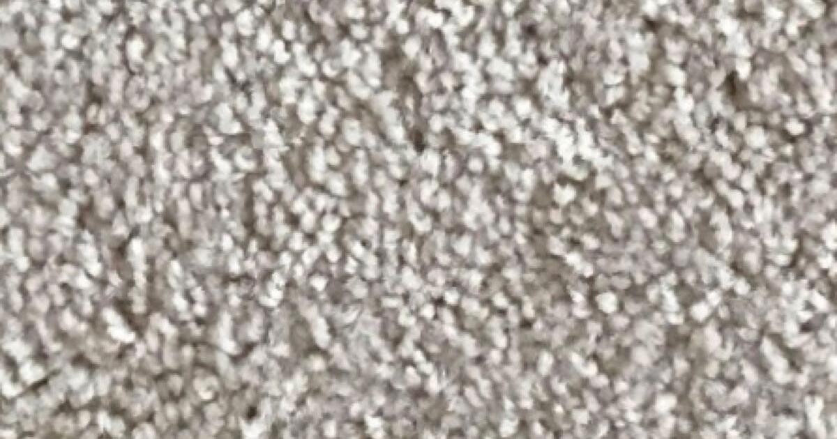 Brand New Light Tan High End Shaw Carpet and Pad 20’ x 11’, 4’ x 7’ and ...