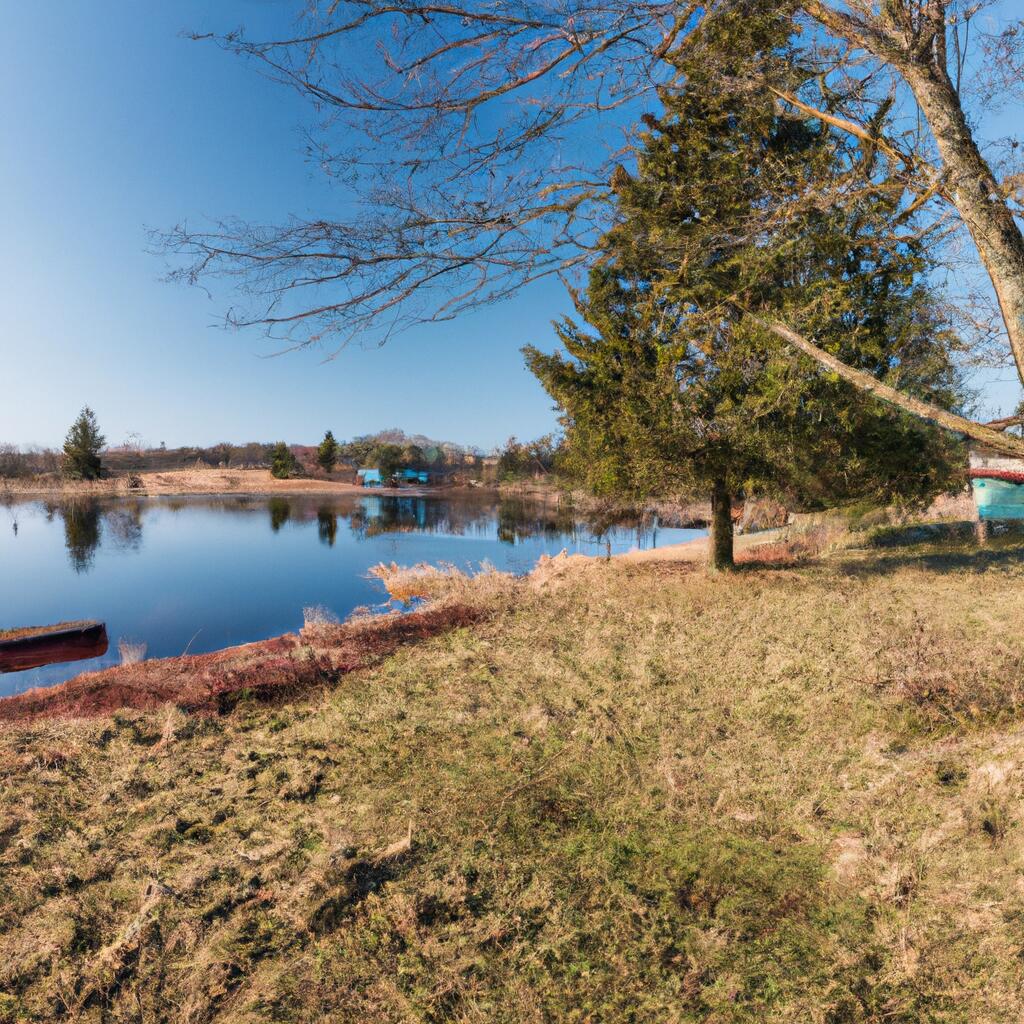 Little White Fish Lake, Pierson | Everything You Need to Know