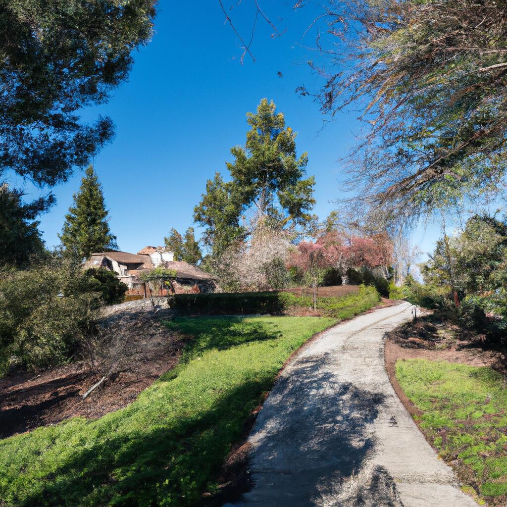 Monte Gardens, Concord | Everything You Need to Know