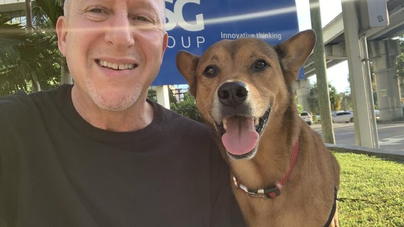 YES! Dog Training And Boarding · 20% off Dog Training — Nextdoor