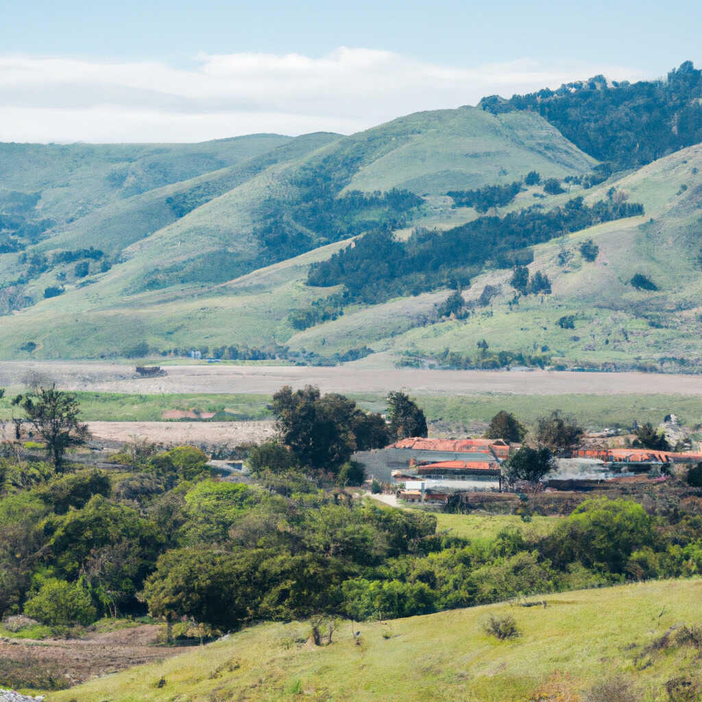 West Point, CA | Everything You Need to Know