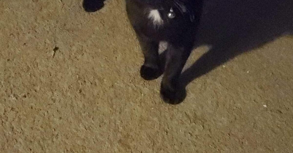 Forever for Free in Auburn, WA | For Sale & Free — Nextdoor