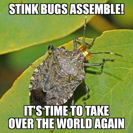 Daylight Savings Time Safety Tips! (Renton Police Department ...