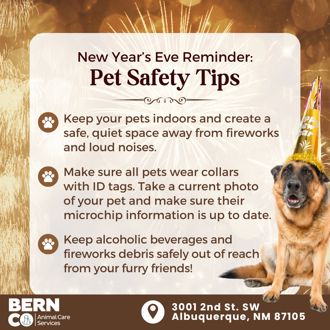 New Year’s Eve Reminder: Pet Safety Tips 🐾🎉 (Bernalillo County Animal ...