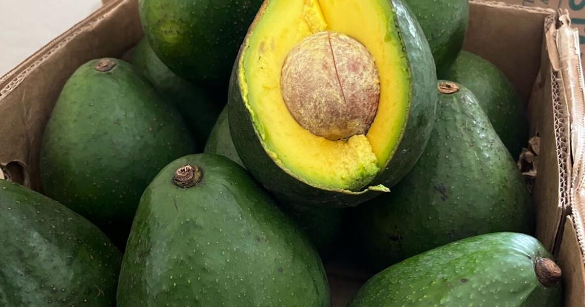 Aguacate madura y verde in Homestead, FL | For Sale & Free — Nextdoor