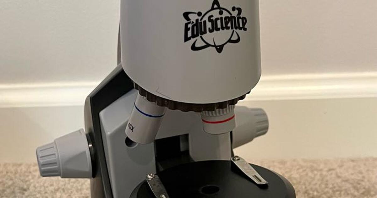 STEM Summer Fun! Edu Science M800X Microscope & Amscope Prepared Slides ...