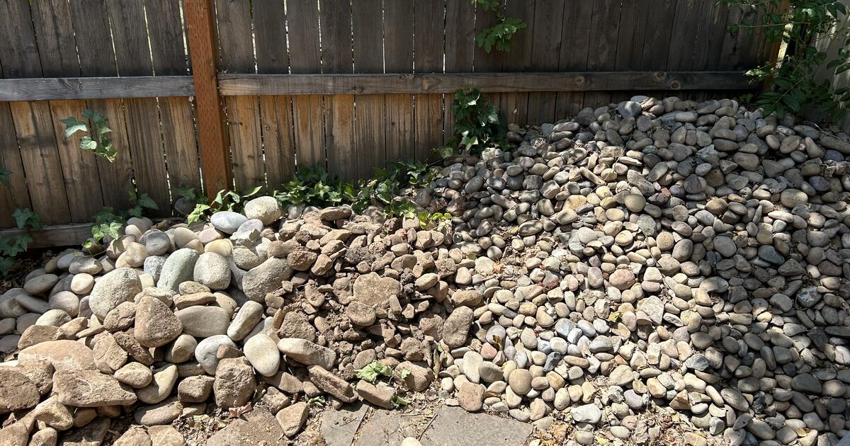 FREE - river rocks!!! (SLC pickup) for Free in Park City, UT | For Sale ...