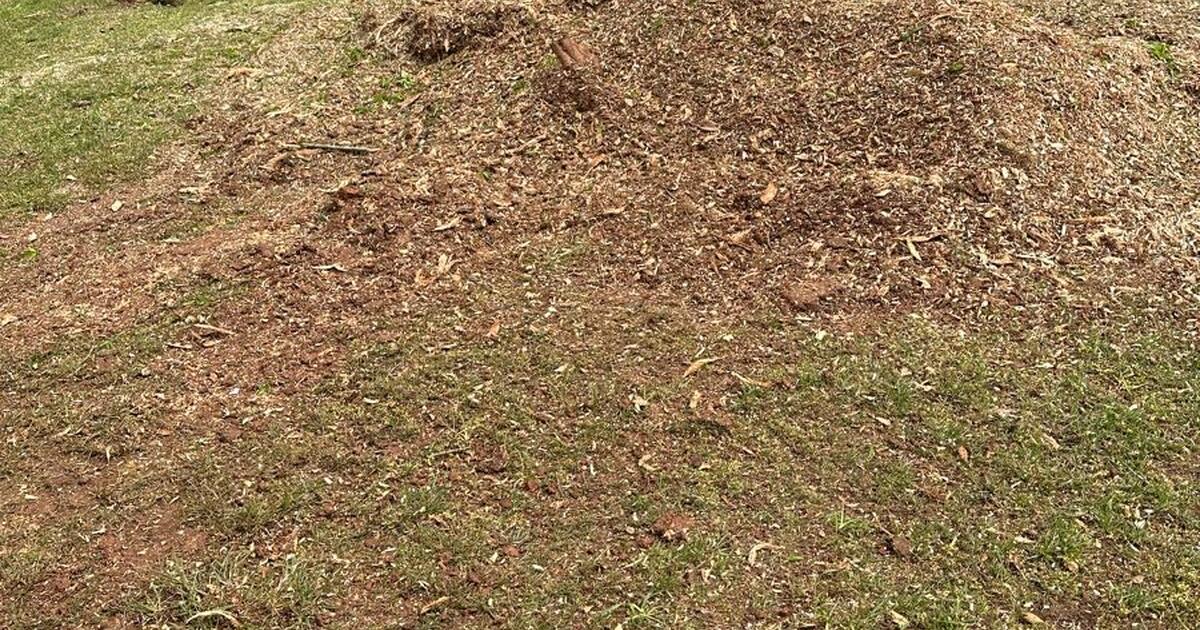 Free stump mulch for Free in Mooresville, NC | For Sale & Free — Nextdoor