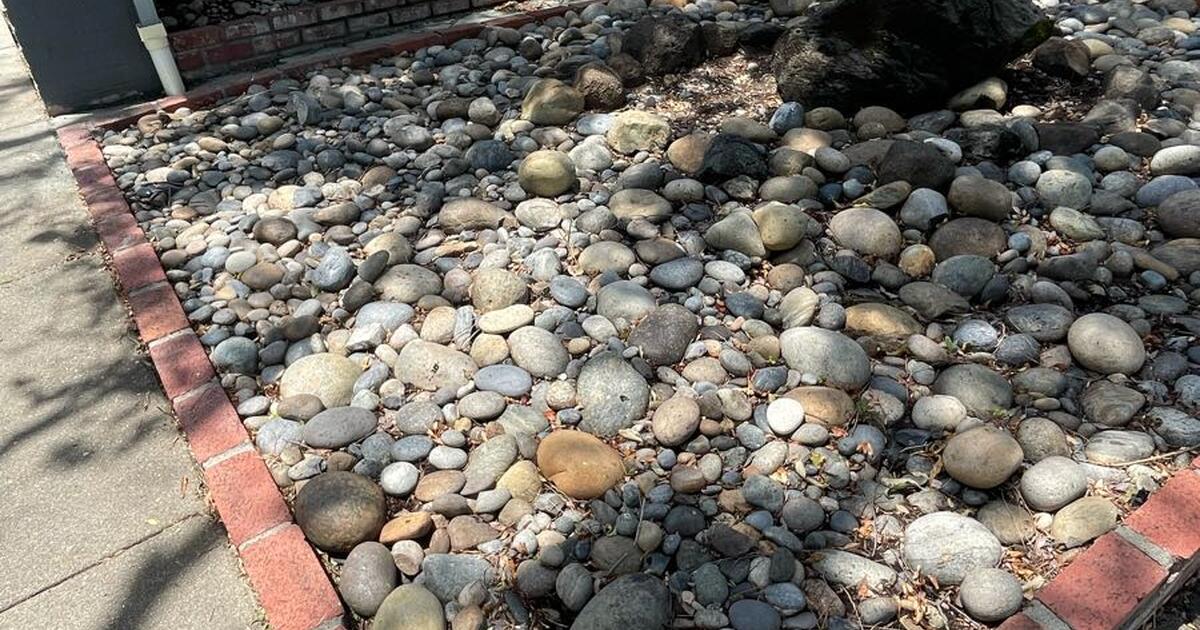 Free River Rock for Free in Walnut Creek, CA | For Sale & Free — Nextdoor