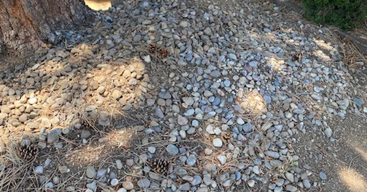 Free River Rocks for Free in Albuquerque, NM | For Sale & Free — Nextdoor