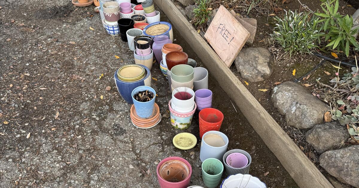Assorted Free Plant Pots for Free in Los Altos, CA | For Sale & Free ...