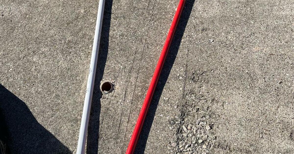 Telescopic Tree branch clipper and sidewalk tunnel tool for Free in ...