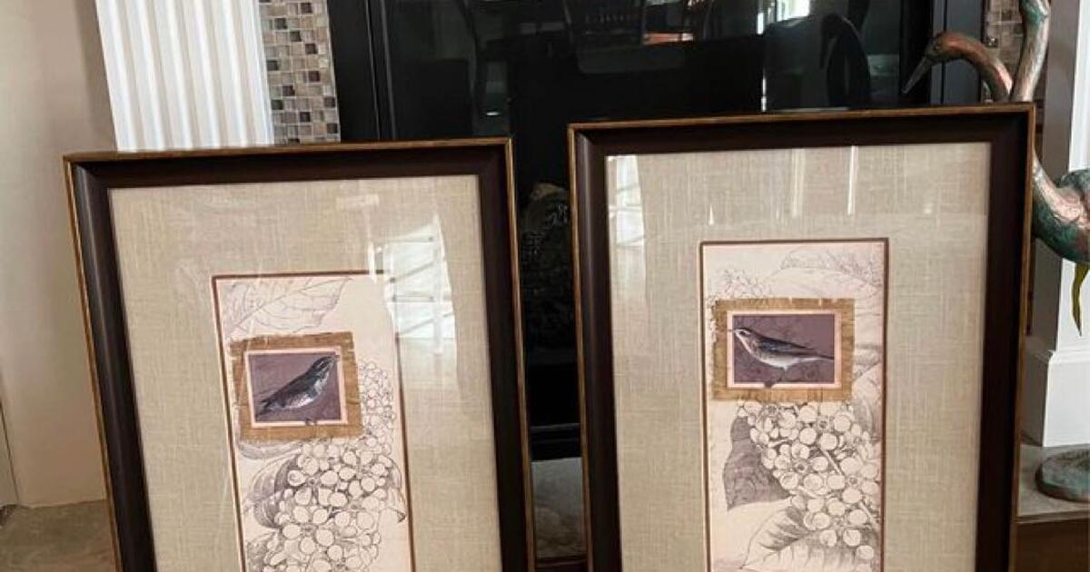 Lg Botanical Bird Prints~ Vintage style~ Linen matted frames. 16x28 for ...