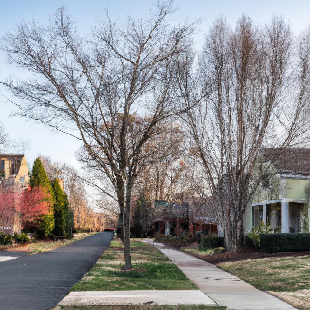 Waynewood, Alexandria | Everything You Need to Know