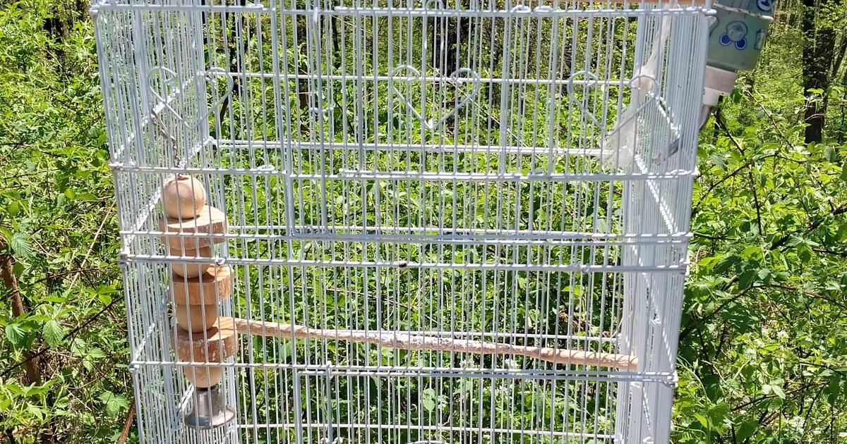 Large Hanging Bird Cage for $20 in Middletown, NY | For Sale & Free ...