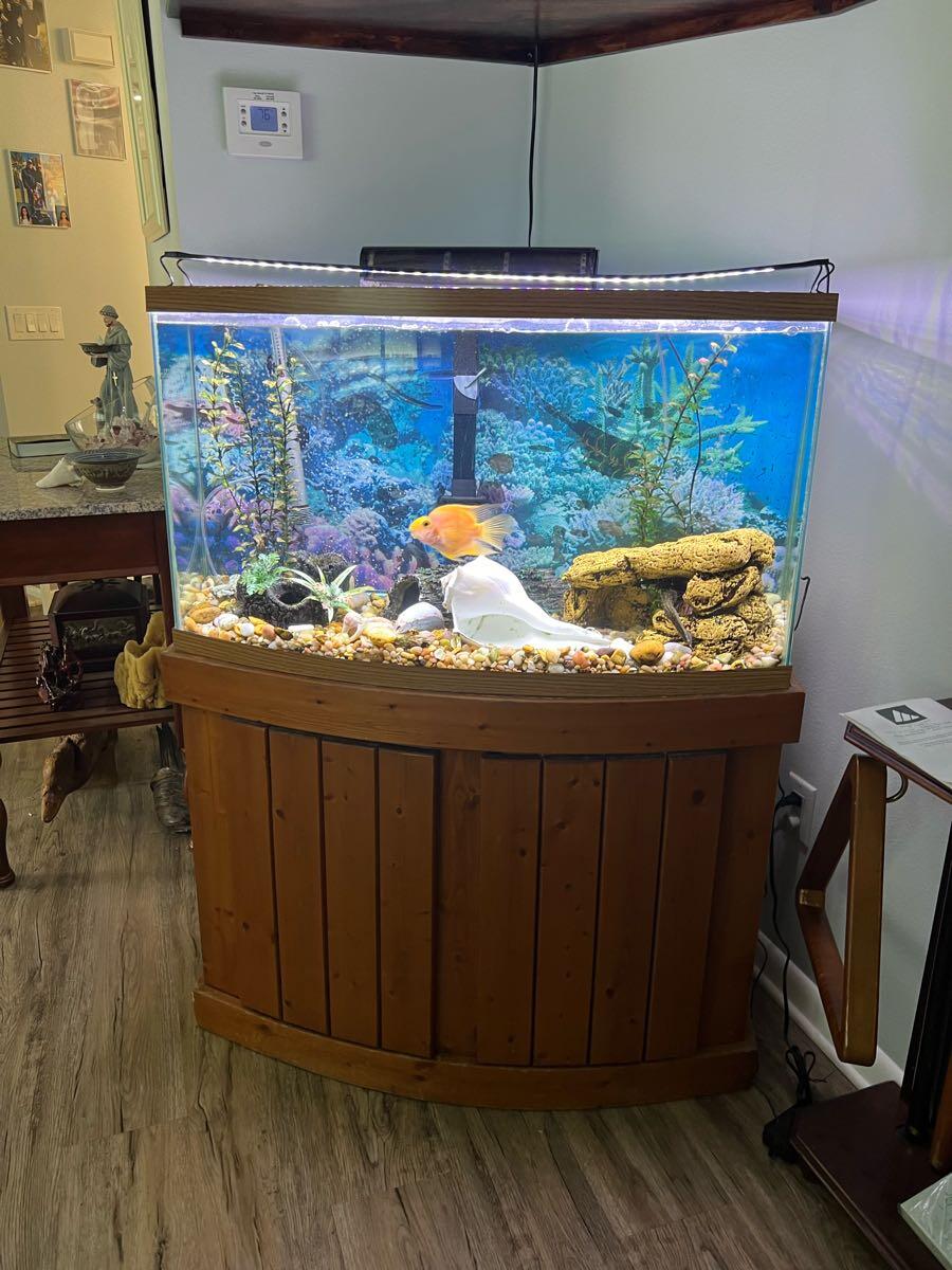 45 gallon Fish tank complete for $105 in Homosassa, FL | For Sale ...