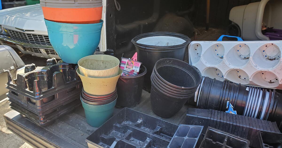 FREE PLANT POTS! WOW!!!! for Free in Shoreline, WA | For Sale & Free ...