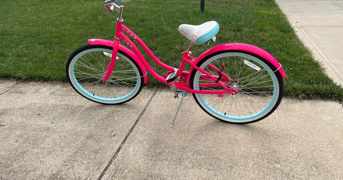Pink Cruiser Bike - 24 inch tires, great condition, $240 new for $29 in ...