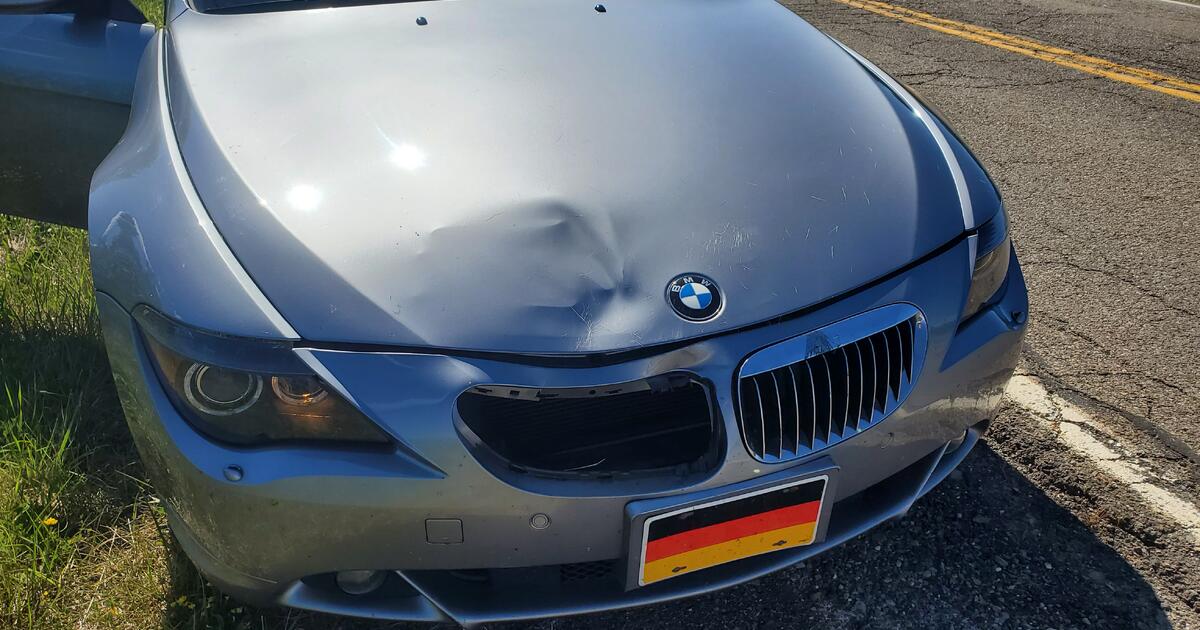 Damaged Hood - OEM - BMW 645Ci for Free in Houston, TX | For Sale ...