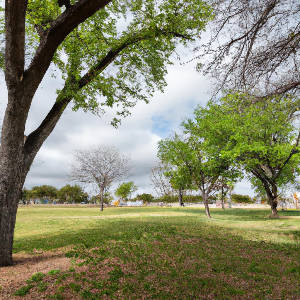 Spring Park, Garland | Everything You Need to Know