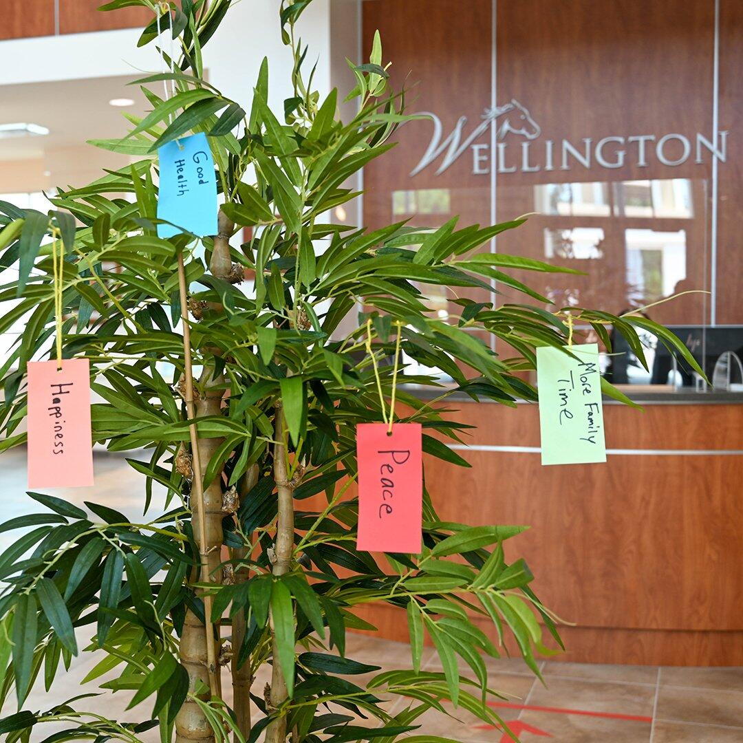Wellington to recognize Tanabata with Wish Tree displays in Village ...
