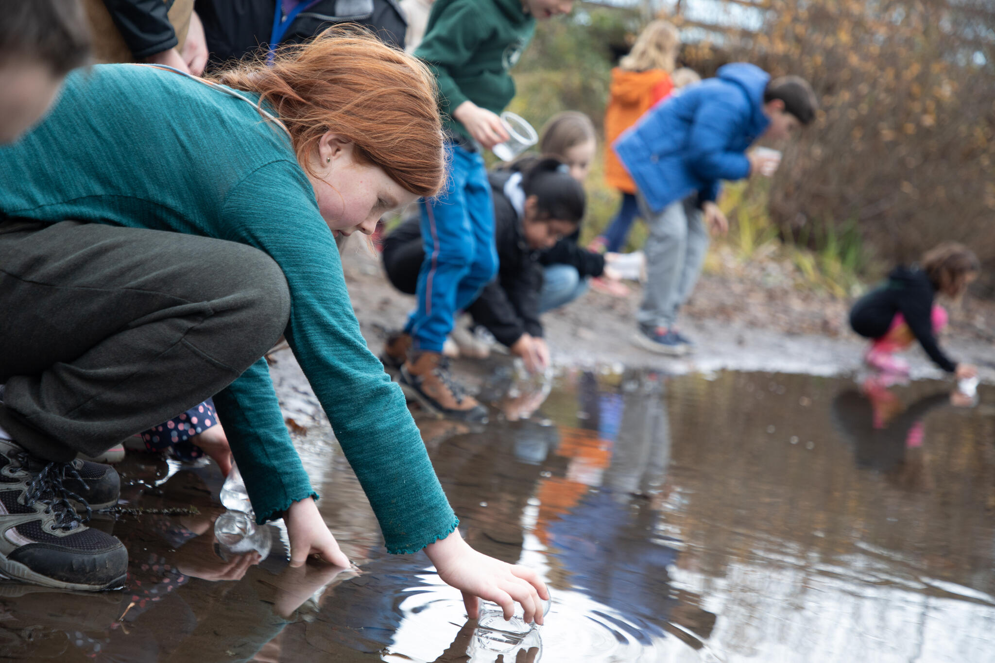 Students From Adams Elementary School Released Young Salmon They Raised