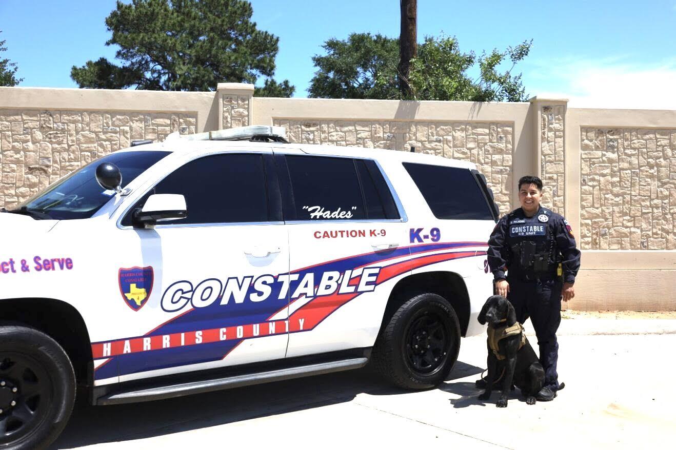 HELP US WELCOME CONSTABLE MARK HERMAN’S NEWEST K9!! (Harris County ...