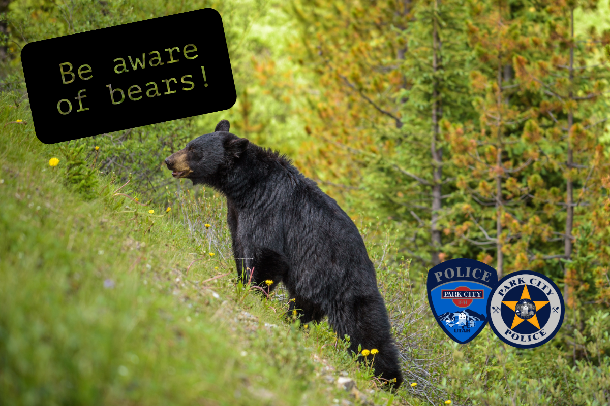 Please be aware of bears! (Park City Police Department) — Nextdoor — Nextdoor
