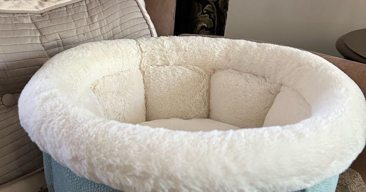 Cat Cuddler for $15 in Stamford, CT | Finds — Nextdoor