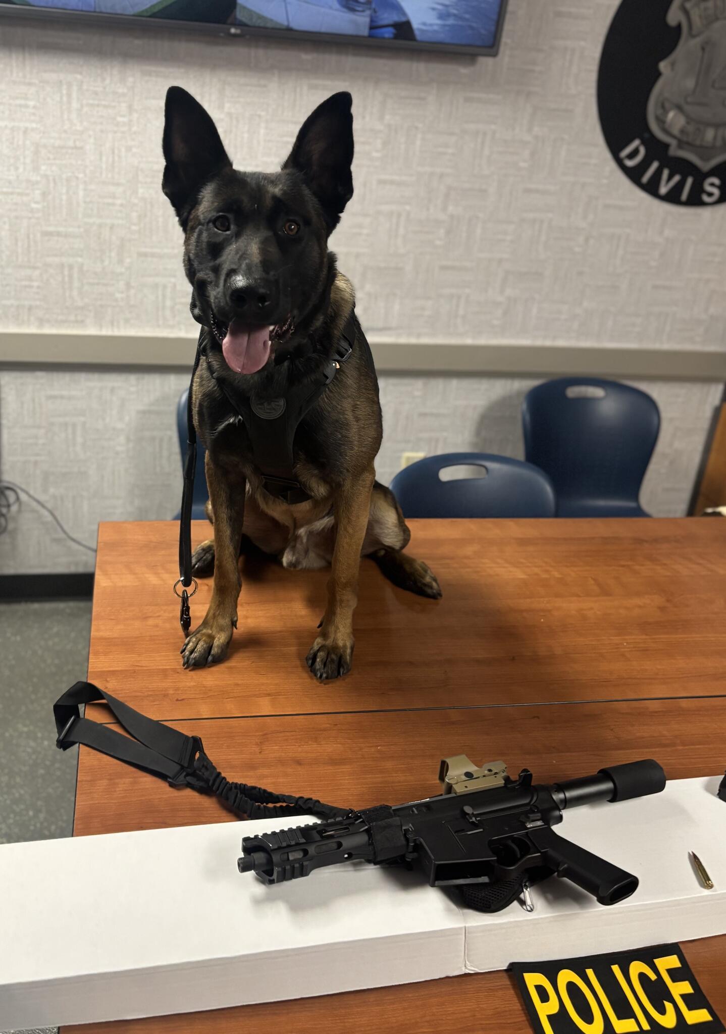 On July 24, 2025, Euclid Police responded to a volatile situation ...