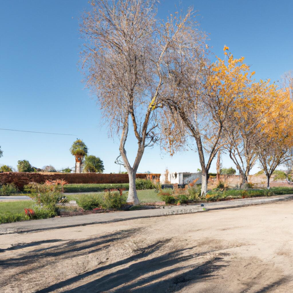 Sun Garden Acres, Fresno | Everything You Need to Know