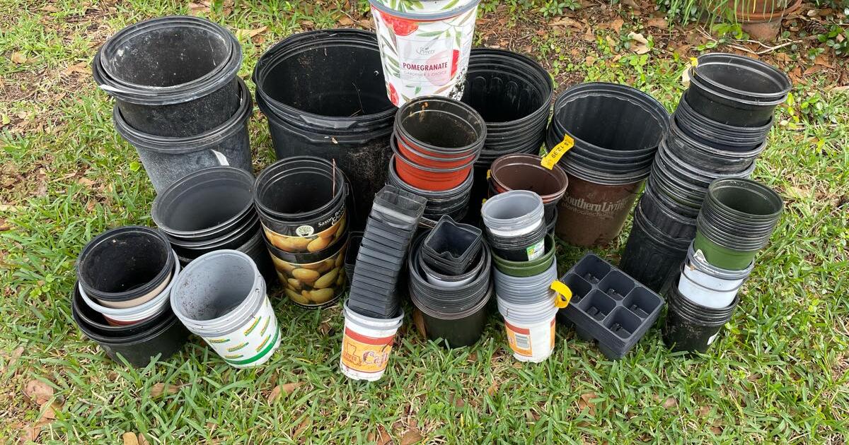 Huge lot of over 150 flower plant pots for $25 in Houston, TX | For ...