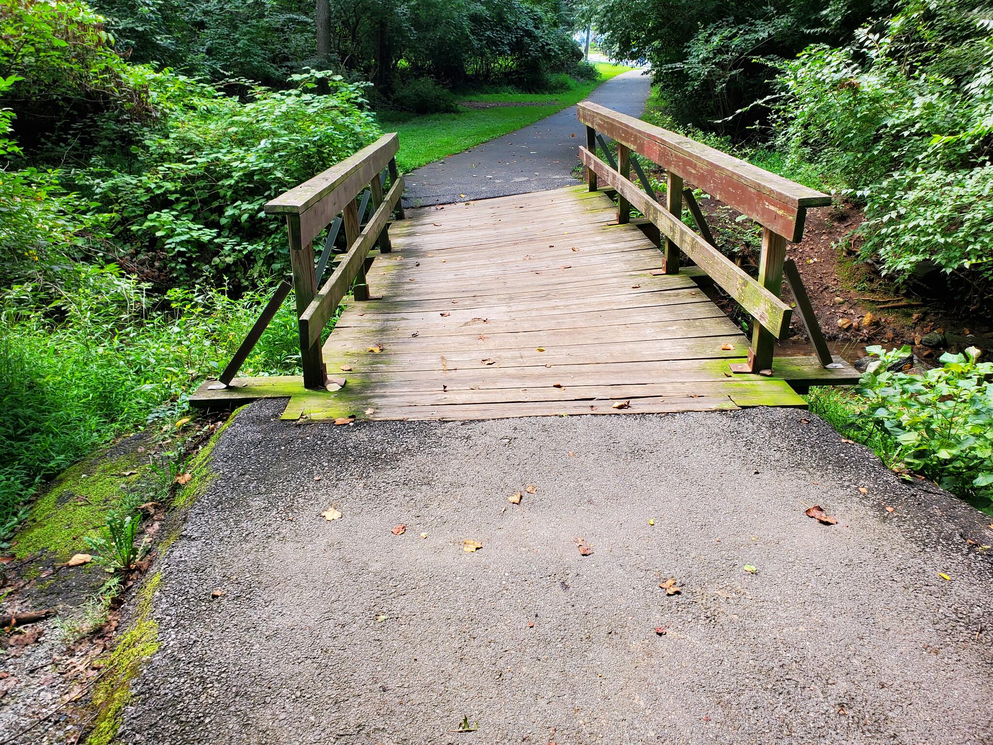 Welsh Park Pedestrian Bridge to Close Nov. 1 for Repairs (City of ...