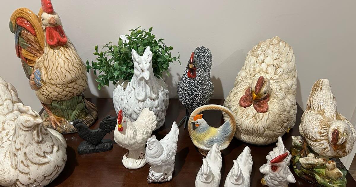 Roosters & Hens ISO new home, I have too many!! for $15 in Gainesville ...