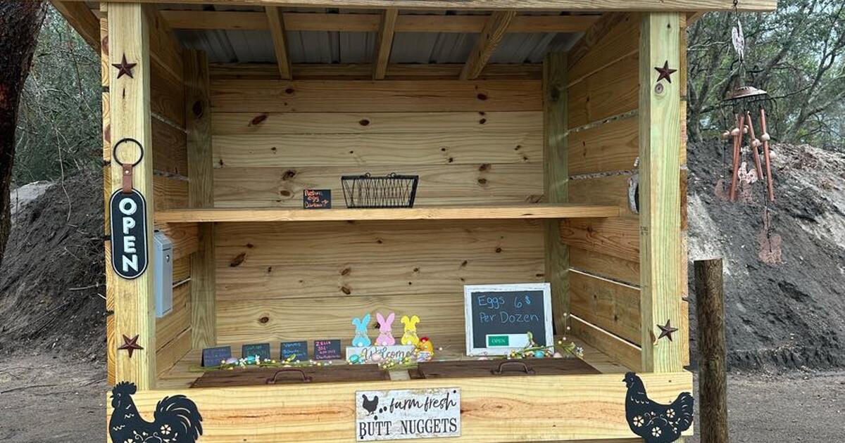 Self serve egg stand for $7 in Groveland, FL | For Sale & Free — Nextdoor