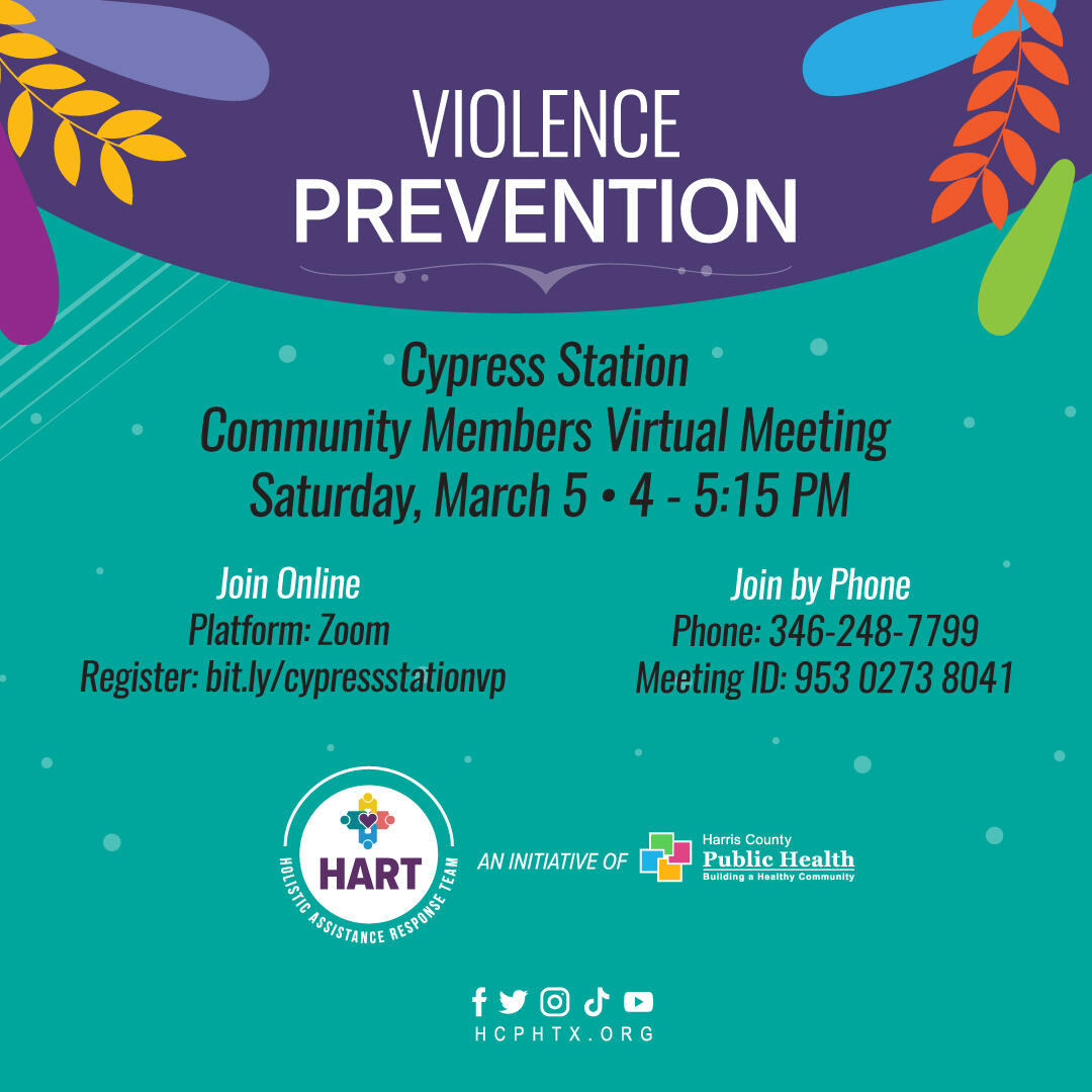 Join HCPH for a Violence Prevention Community Virtual Meeting (Harris ...